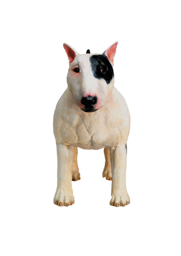 Accessory Pieces > Bull Terrier > bullseye-S at Universal Display